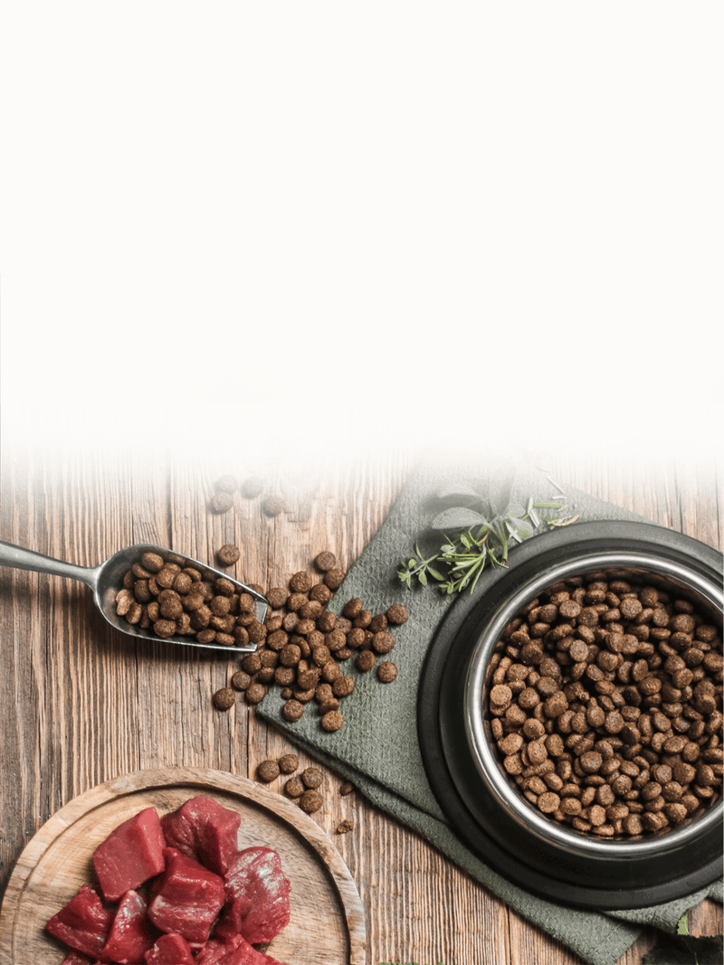 MyPetSays - Premium Pet Food For Happy Dogs and Cats